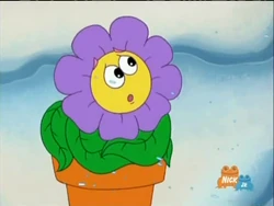 Dora The Explorer Mixed Up Seasons