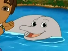 River dolphin | Dora the Explorer Wiki | Fandom
