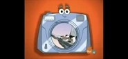 Three Little Condors/Gallery | Dora the Explorer Wiki | Fandom
