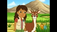 Coyotes | Dora the Explorer Wiki | Fandom