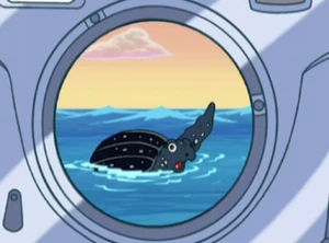 Save the Sea Turtles | Dora the Explorer Wiki | Fandom