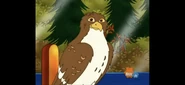 Jorge the Little Hawk Learns to Migrate!/Gallery | Dora the Explorer ...