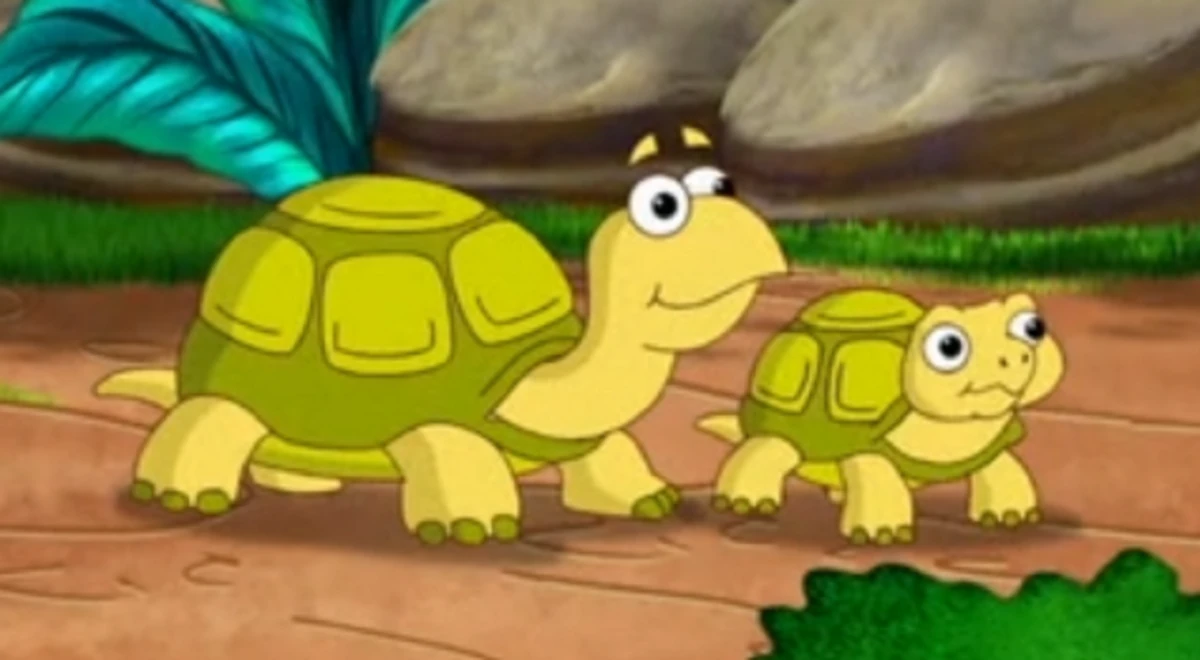 Father and Baby Tortoise | Dora the Explorer Wiki | Fandom
