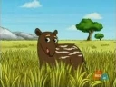 The Tapir's Trip Home | Dora the Explorer Wiki | Fandom