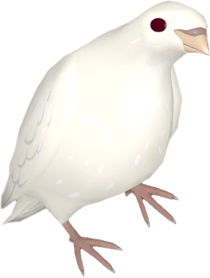 Dove.org | Dorbees Wiki | Fandom