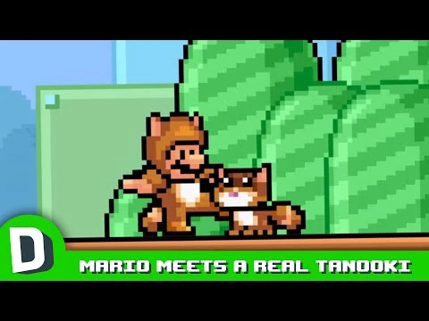 Mario Meets a Real Tanooki | Dorkly Wiki | Fandom