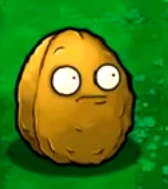 Wall-Nut | Dorkly Wiki | Fandom