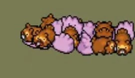 Breeding Bidoofs | Dorkly's Pokemon Rusty Wiki | Fandom