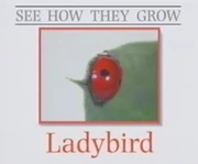 Mini Beasts (See How They Grow) | Dorling Kindersley Vision Wiki | Fandom