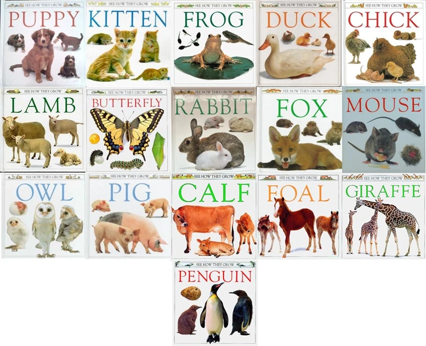 Dorling Kindersley books | Dorling Kindersley Vision Wiki | Fandom