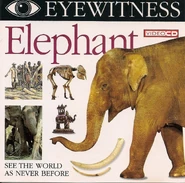 Elephant | Dorling Kindersley Vision Wiki | Fandom