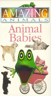 List of Amazing Animals episodes (Season 1) | Dorling Kindersley Vision ...