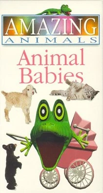 Animal Babies | Dorling Kindersley Vision Wiki | Fandom