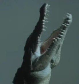 Crocodilian | Dorling Kindersley Vision Wiki | Fandom