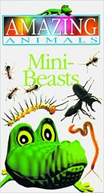 Mini-Beasts | Dorling Kindersley Vision Wiki | Fandom