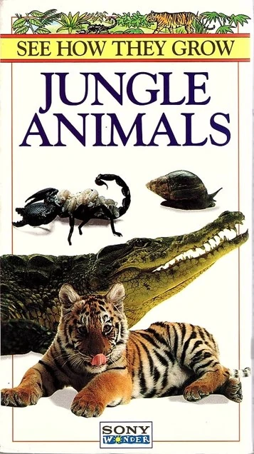 Dorling Kindersley Vision hard media releases | Dorling Kindersley Vision Wiki | Fandom