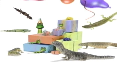 Henry the Lizard's family | Dorling Kindersley Vision Wiki | Fandom