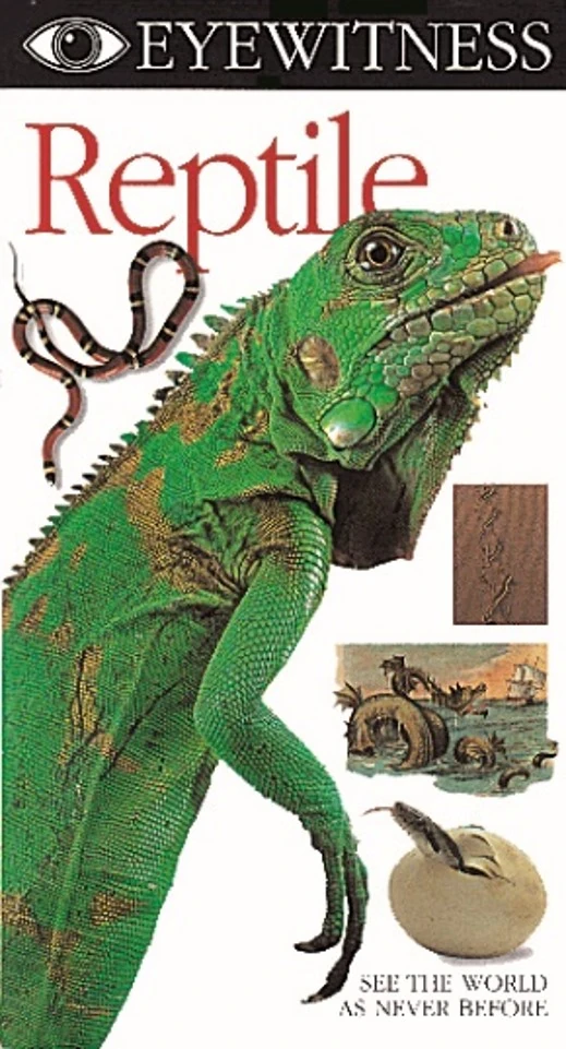 Reptile | Dorling Kindersley Vision Wiki | Fandom