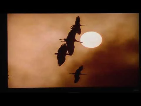 Creatures Fantastic | Dorling Kindersley Vision Wiki | Fandom