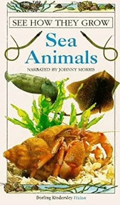 Sea Animals | Dorling Kindersley Vision Wiki | Fandom