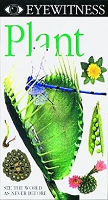 Plant | Dorling Kindersley Vision Wiki | Fandom