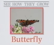 Mini Beasts (See How They Grow) | Dorling Kindersley Vision Wiki | Fandom