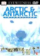 Arctic and Antarctic | Dorling Kindersley Vision Wiki | Fandom