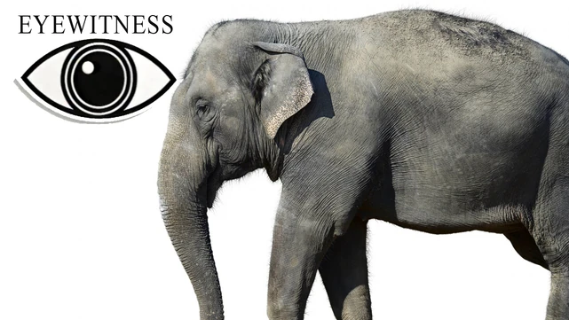 Mammal | Dorling Kindersley Vision Wiki | Fandom