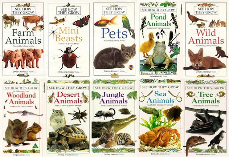 Dorling Kindersley Vision hard media releases | Dorling Kindersley Vision Wiki | Fandom