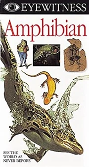 List of Eyewitness episodes (Season 1) | Dorling Kindersley Vision Wiki | Fandom