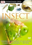Insect | Dorling Kindersley Vision Wiki | Fandom