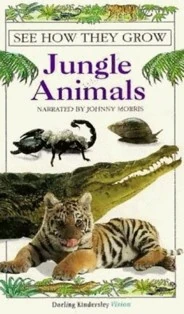 Jungle Animals | Dorling Kindersley Vision Wiki | Fandom