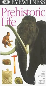 List of Eyewitness episodes (Season 2) | Dorling Kindersley Vision Wiki | Fandom