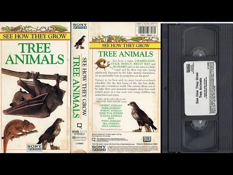 Tree Animals | Dorling Kindersley Vision Wiki | Fandom