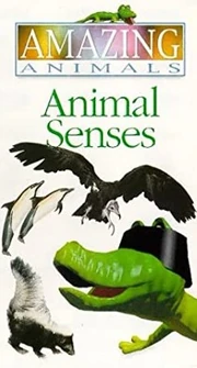 List of Amazing Animals episodes (Season 1) | Dorling Kindersley Vision Wiki | Fandom