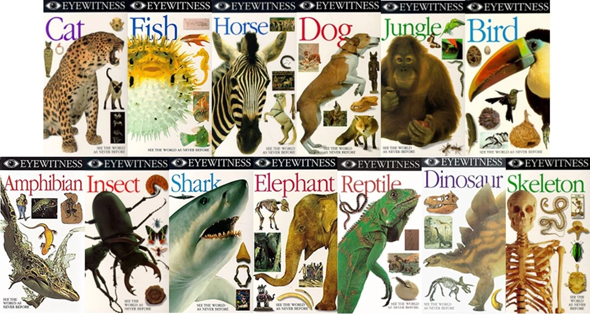 Eyewitness Season One | Dorling Kindersley Vision Wiki | Fandom