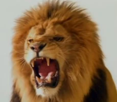 Lion | Dorling Kindersley Vision Wiki | Fandom