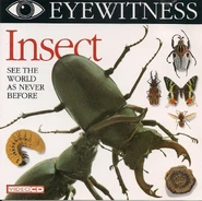 Insect | Dorling Kindersley Vision Wiki | Fandom