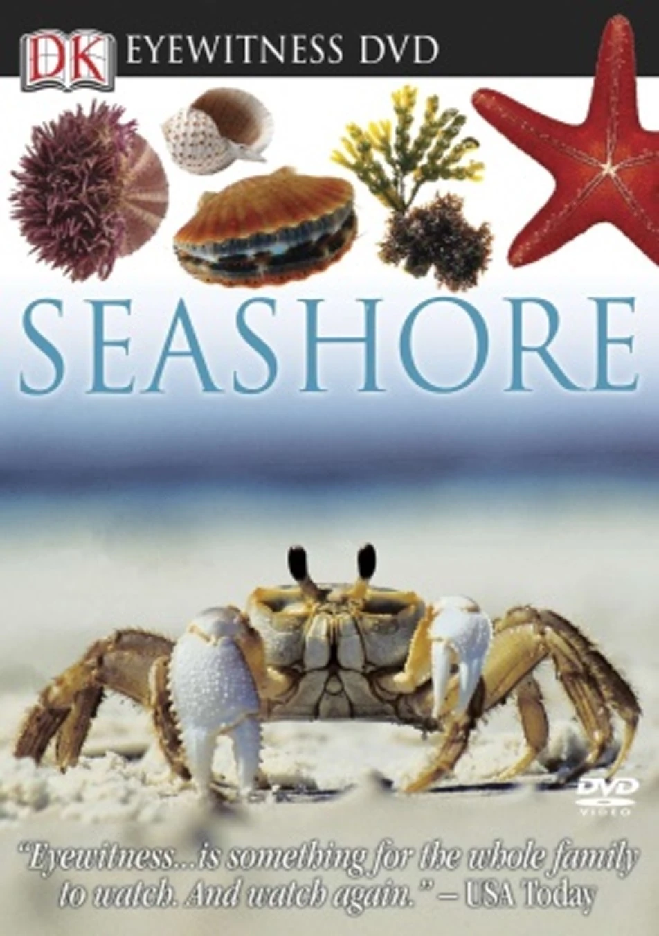Seashore | Dorling Kindersley Vision Wiki | Fandom
