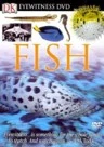 Fish | Dorling Kindersley Vision Wiki | Fandom