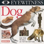 Dog | Dorling Kindersley Vision Wiki | Fandom