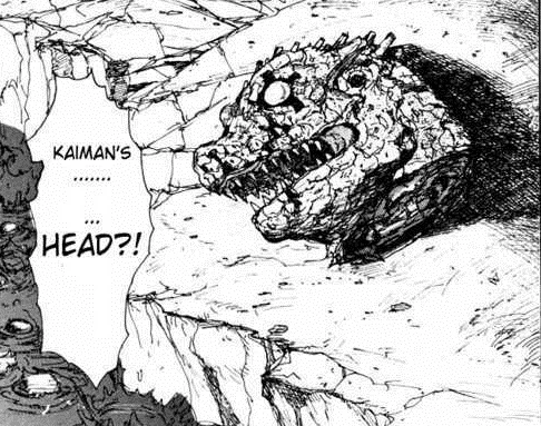 Kaiman's Severed Head | Dorohedoro Wiki | Fandom
