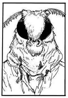 Dokuga | Dorohedoro Wiki | Fandom