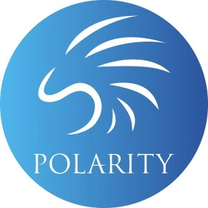Polarity | Dota 2 Wiki | Fandom