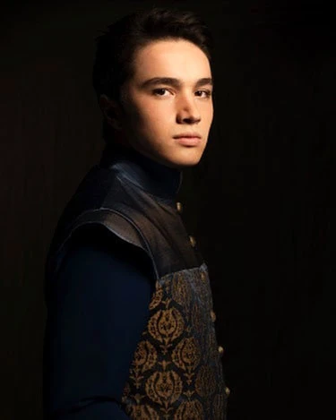 Aerion Bittersteel | Dawn of the Dragons Wiki | Fandom