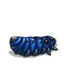 Blue Larva | Dawn of the Dragons Wiki | Fandom