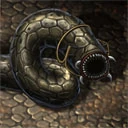 Rock Worm | Dawn of the Dragons Wiki | Fandom