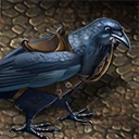 Shadow-Slip Assassin Raven | Dawn of the Dragons Wiki | Fandom