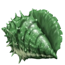 Green Conch Shell | Dawn of the Dragons Wiki | Fandom