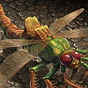 Chitinous Steed | Dawn of the Dragons Wiki | Fandom